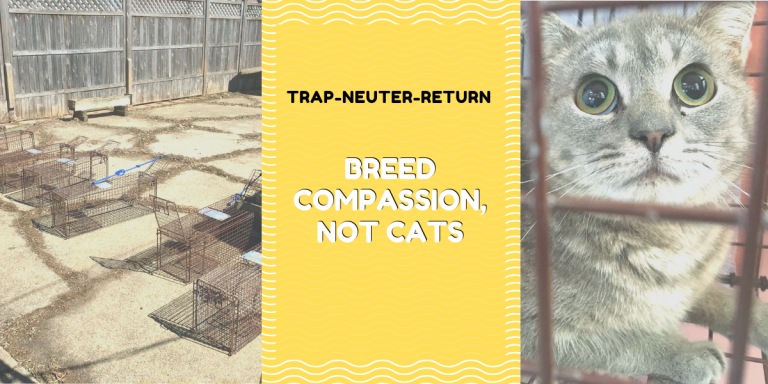 TNR – Catvando.org