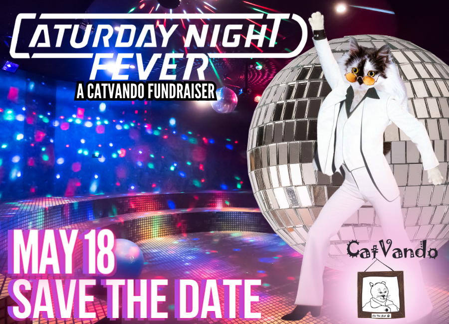 Catvando.org – Help for free-roaming street cats, their caregivers, and ...